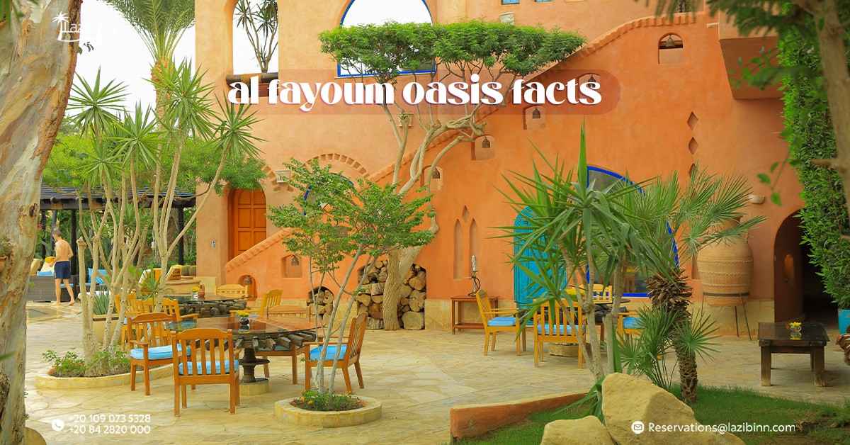 Al Fayoum Oasis facts & wonders – Discover true serenity